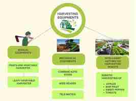 From Field to Fork: Inside a Rice Processing Plant - Rice21 - Grain ...