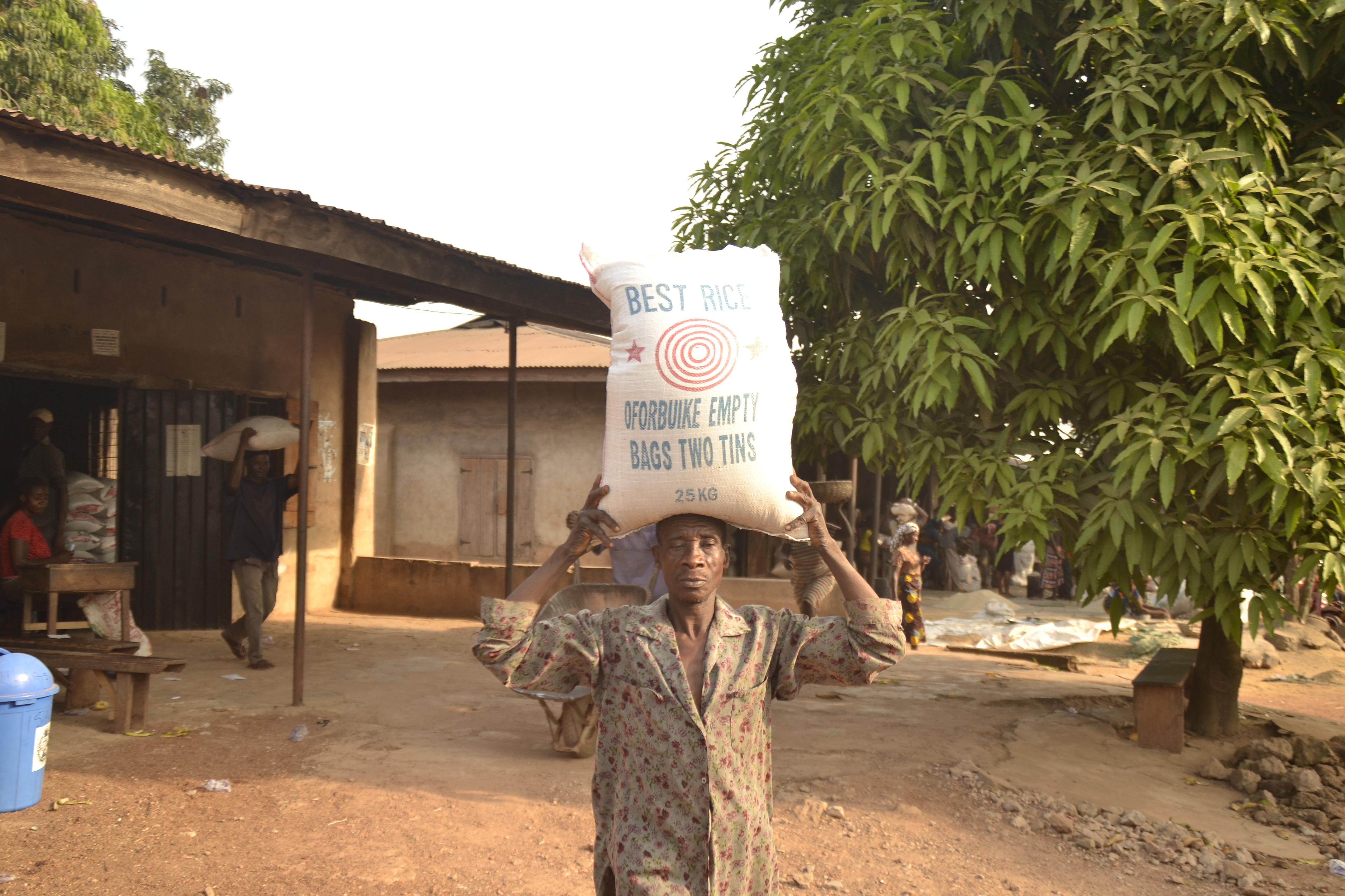 From Field to Fork: Inside a Rice Processing Plant - Rice21 - Grain ...