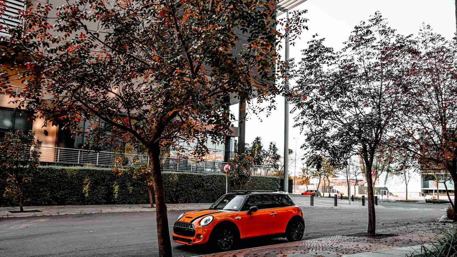 Revolutionizing Rice Production: The Marvel of Mini Rice Milling ...