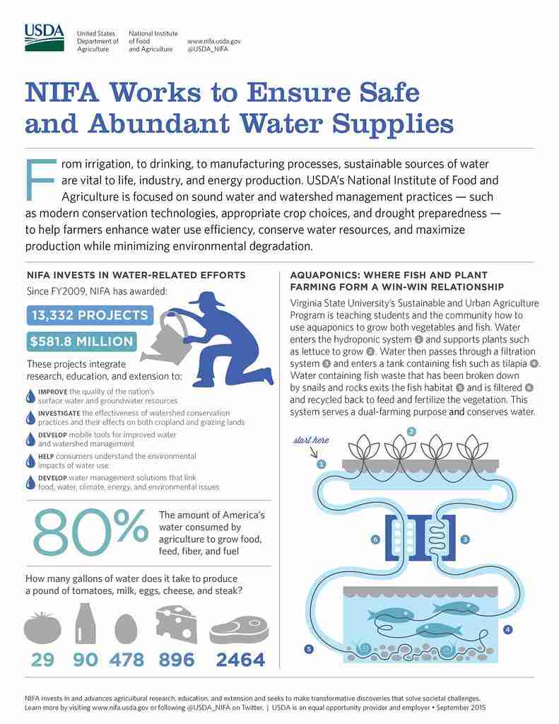 Rice Revolution: Inside a Paddy Processing Unit - Rice21 - Grain ...