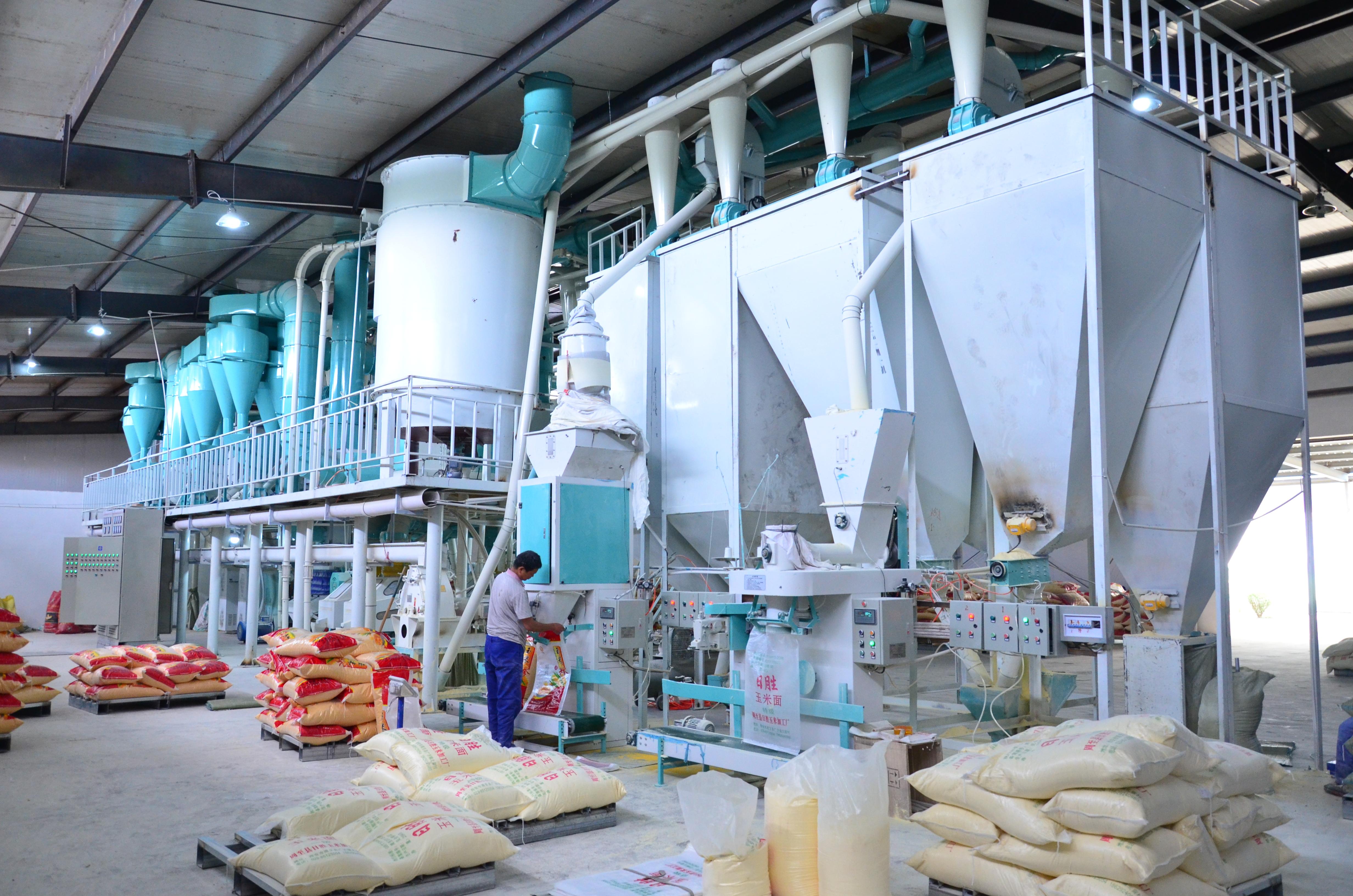 Cracking Corn: The Art of Maize Milling - Rice21 - Grain Processing News