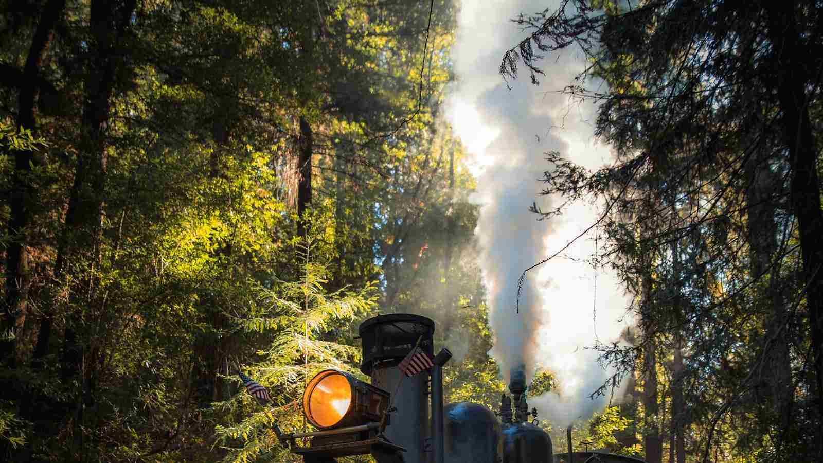 The Art of Processing Parboiled Rice: Inside a Modern Plant - Rice21 ...