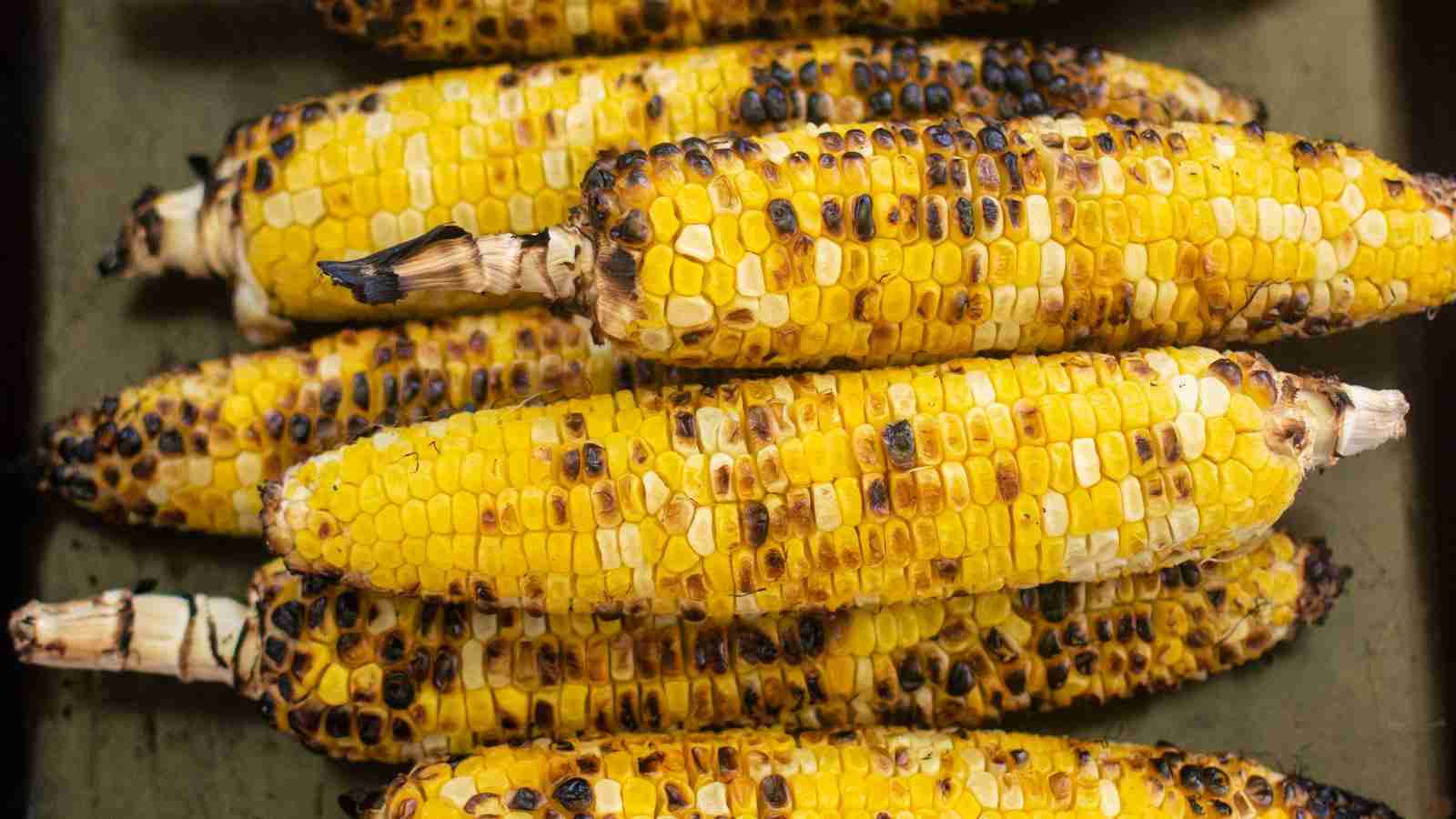 The Art of Corn Processing: A Sweet and Savory Journey - Rice21 - Grain ...