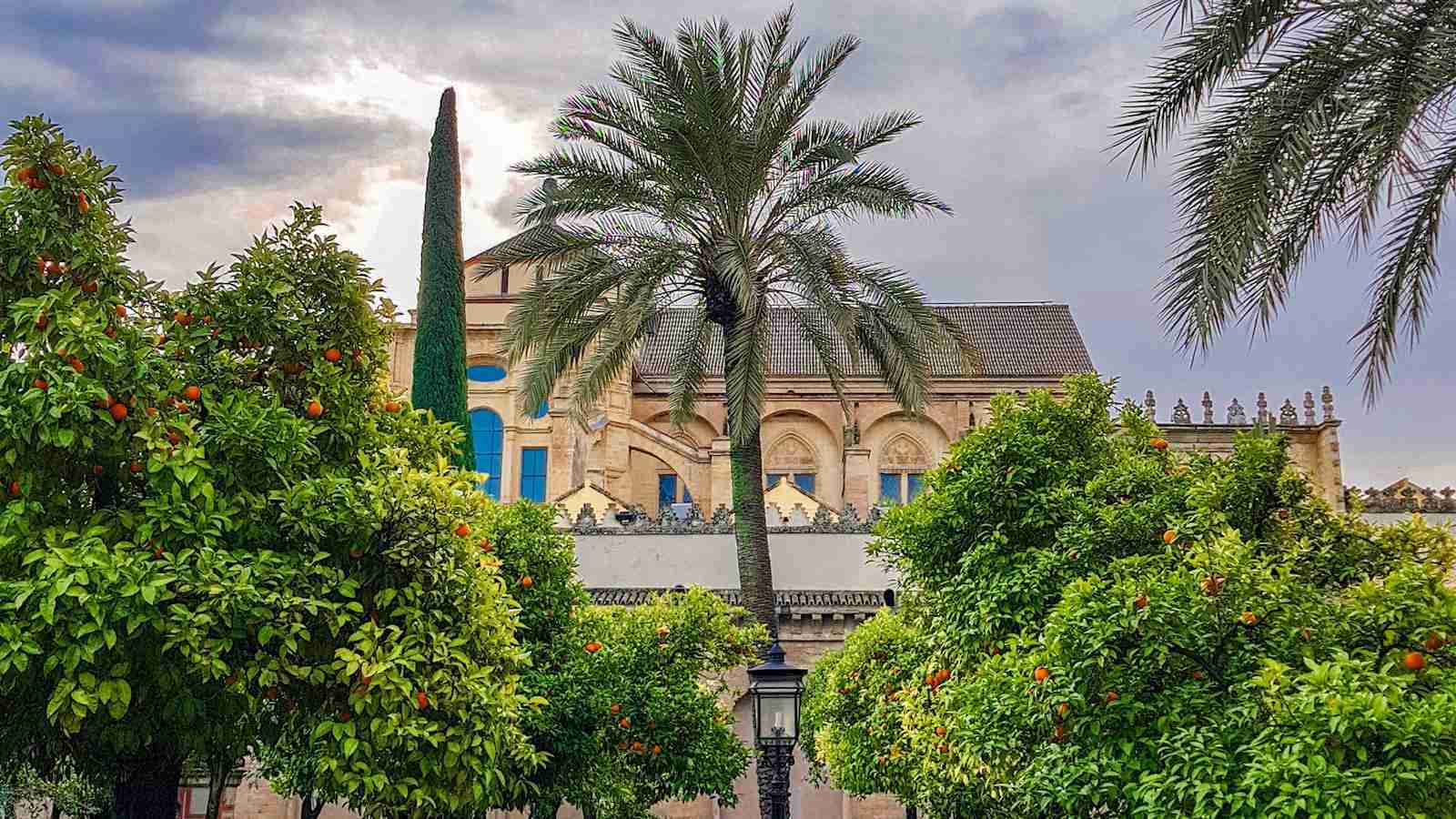 Unlocking the Secrets of Parboiled Rice: Inside the Processing Plant ...