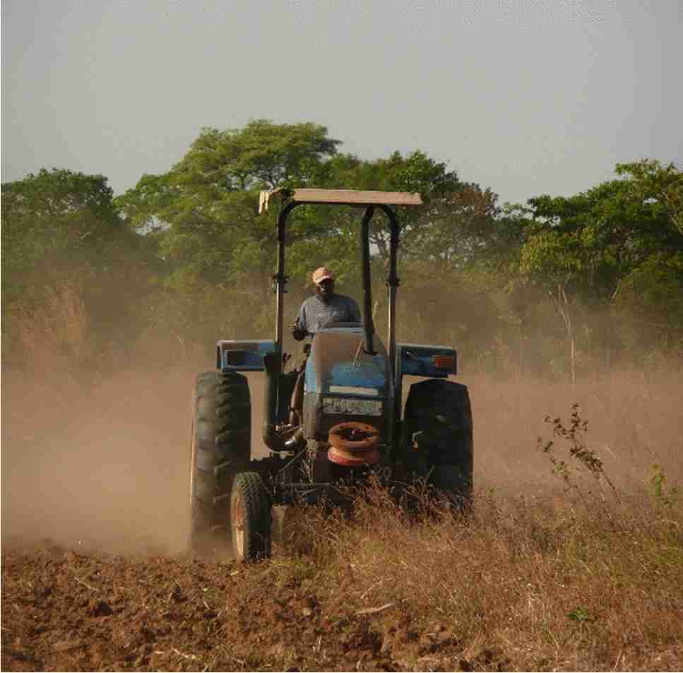 The Efficient Evolution of Mini Rice Mills - Rice21 - Grain Processing News