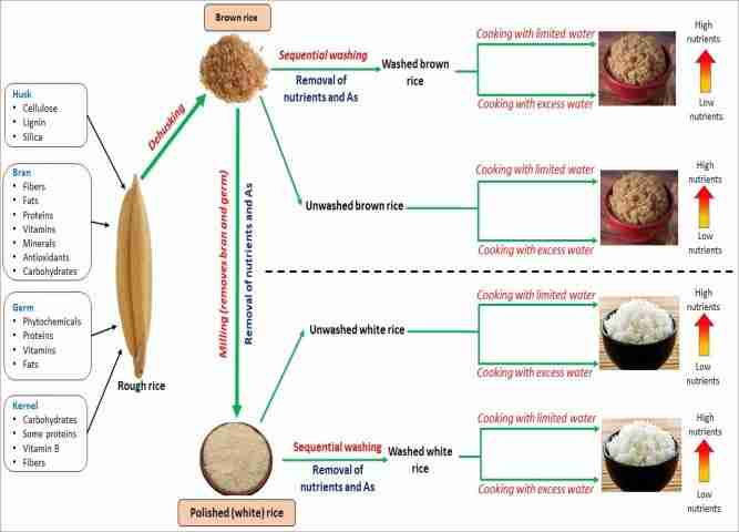 The Art of Perfecting Parboiled Rice: Inside a Processing Plant ...