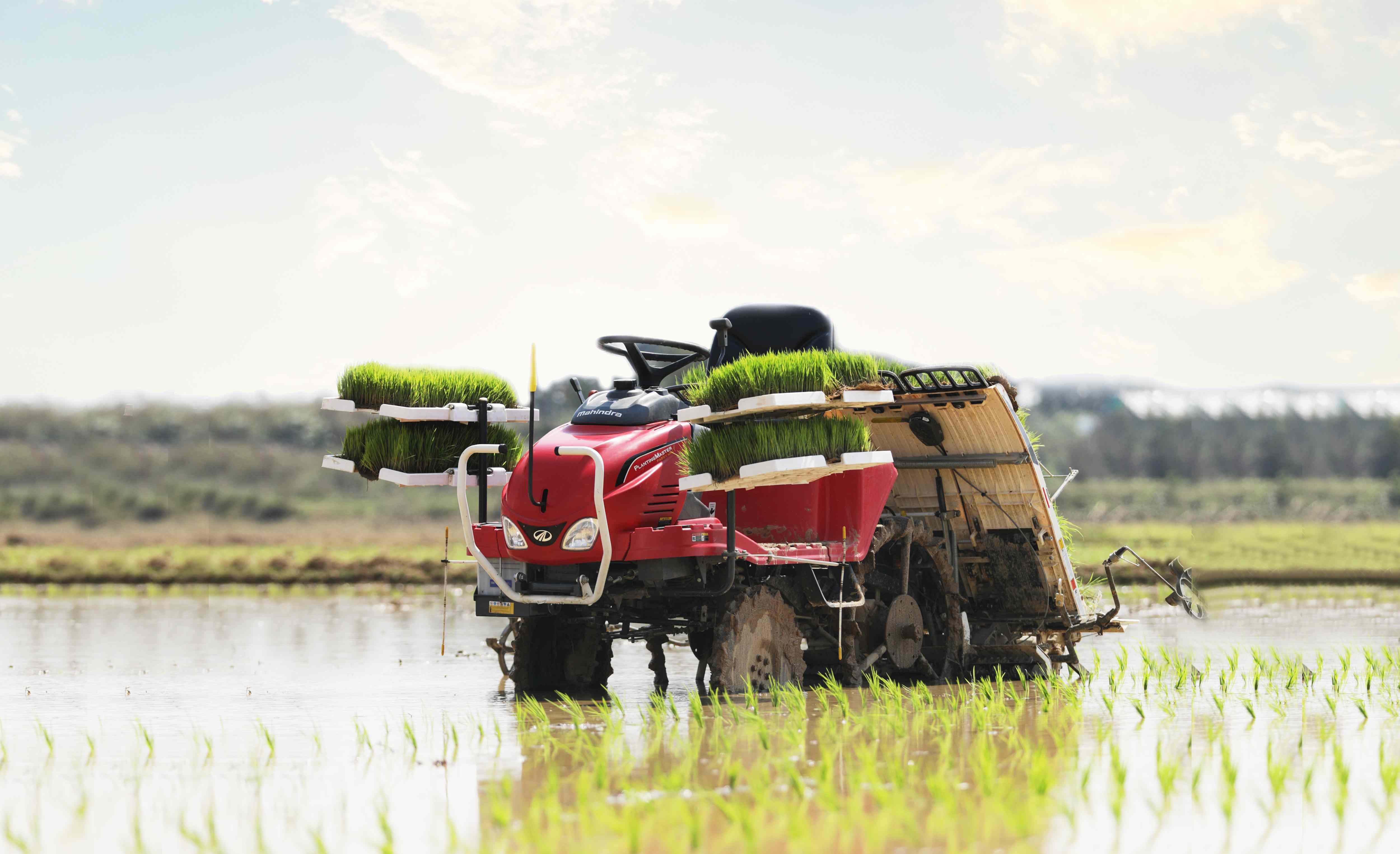 The Evolution of Rice Machinery: Innovation in Agricultural Technology ...