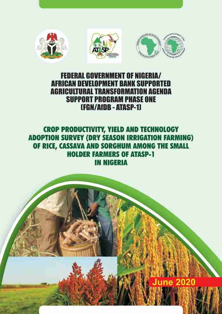 Unveiling the Efficiency of the 5 Ton Rice Mill - Rice21 - Grain ...