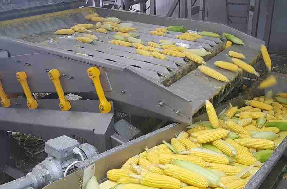 From Kernel to Product: Corn Processing Explained - Rice21 - Grain ...