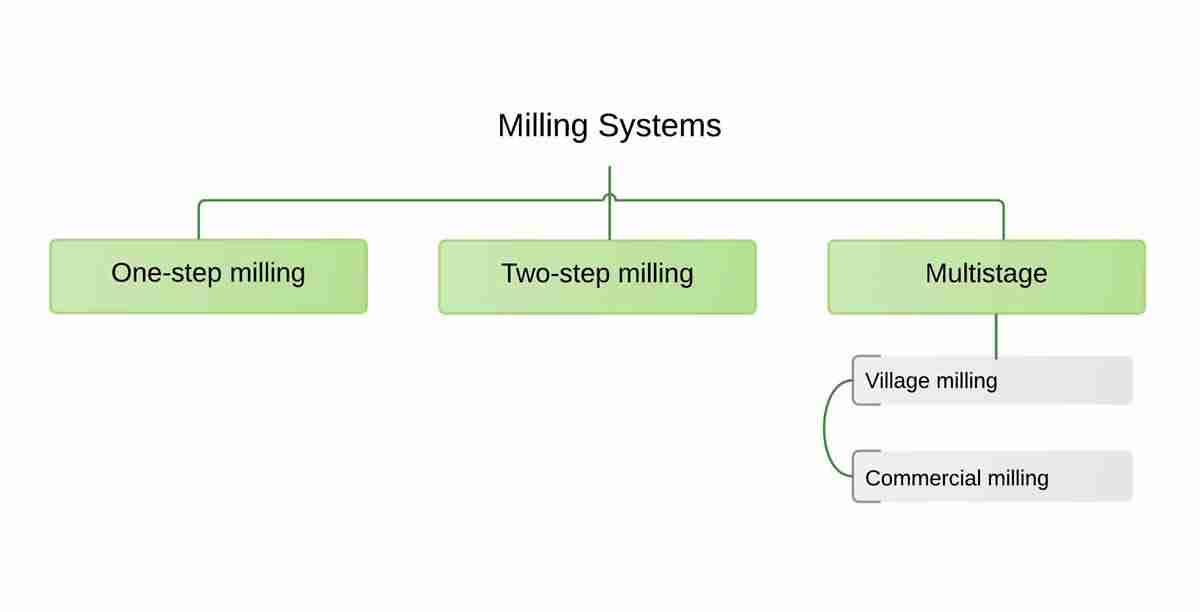 The Art of Rice: A Peek Inside the Rice Milling Unit - Rice21 - Grain ...