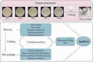 Unlocking Efficiency: The Modern Rice Milling Unit Explained - Rice21 ...