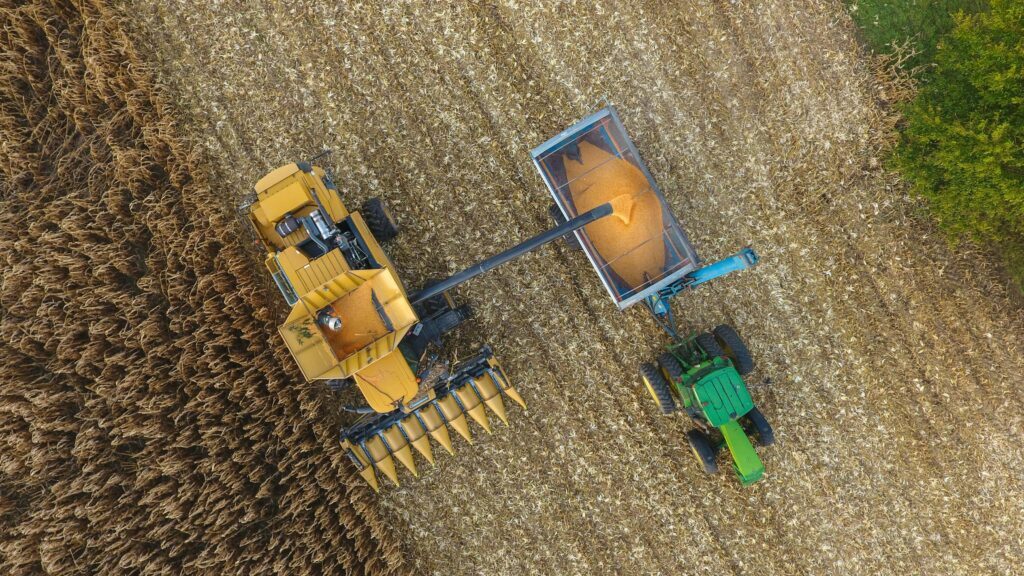 Optimizing Harvests: The Evolution of Mini Rice Mills - Rice21 - Grain ...