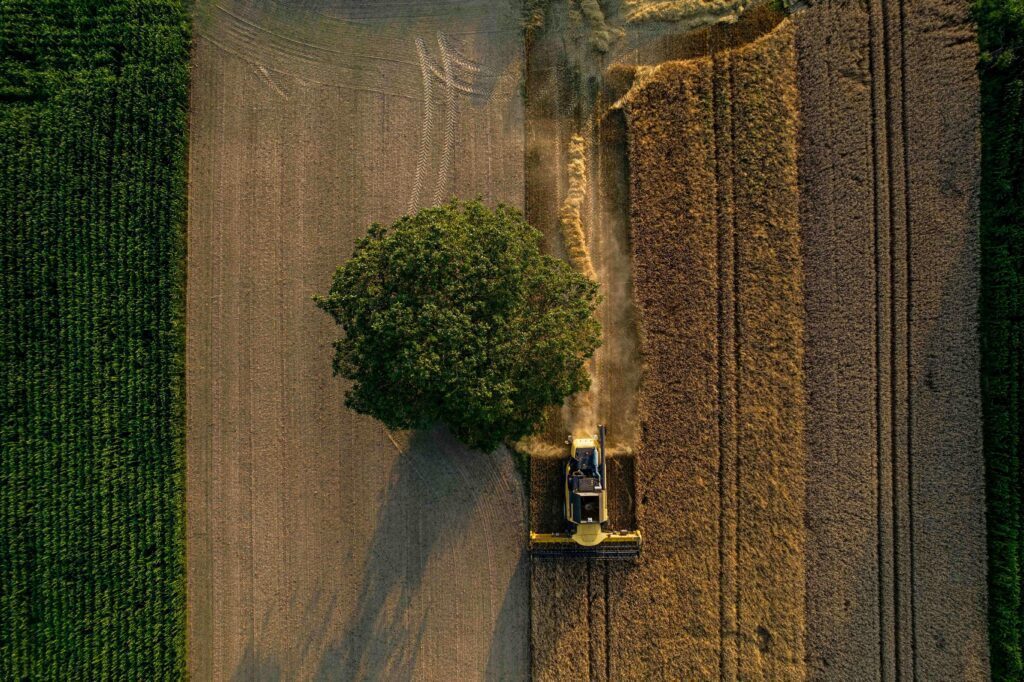 Efficient Harvests: The Rise of Combine Mini Rice Mills - Rice21 ...