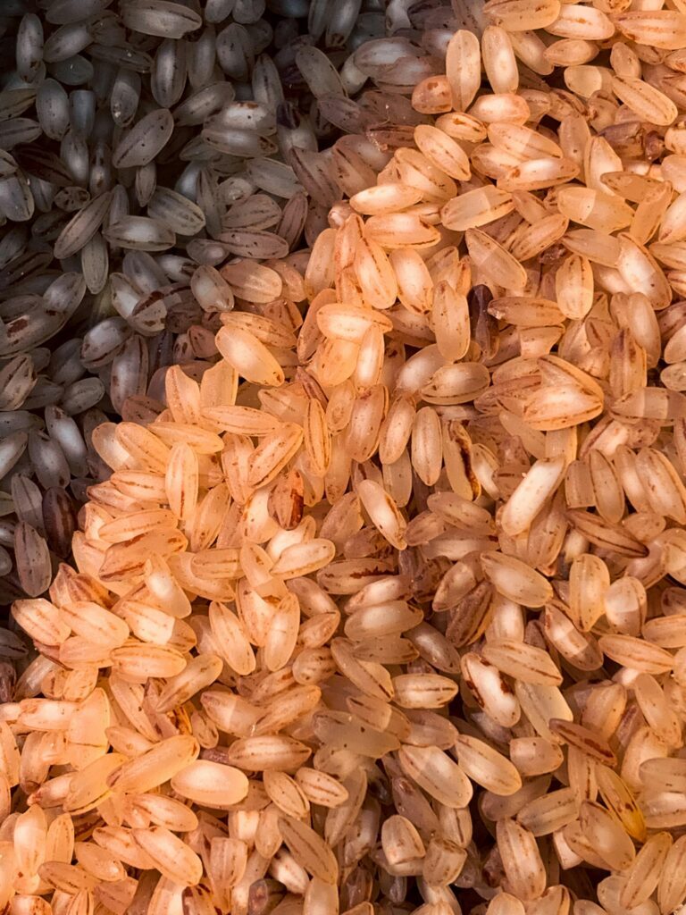 Elevating Grains: The Art and Science of Rice Polishers - Rice21 ...