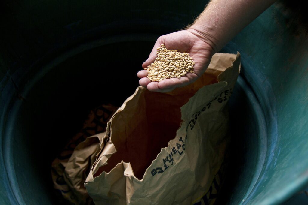 Transforming Grains: The Modern Rice Mill Revolution - Rice21 - Grain ...
